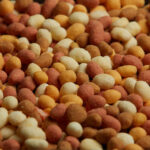 Home – Kuipers Food Processing machinery - Kuipers FPM